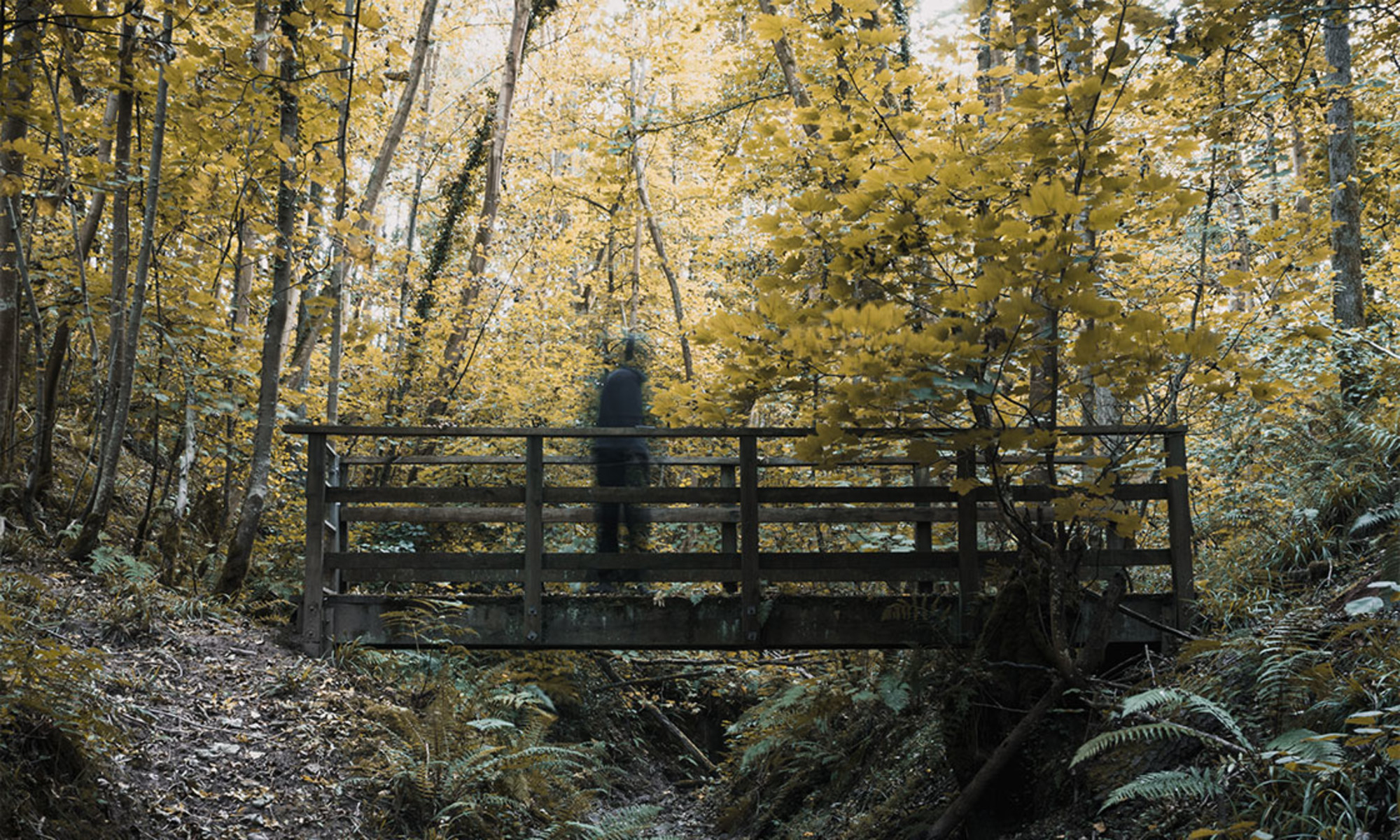 Are Ghosts Real? What The Experts Say, Theories & More