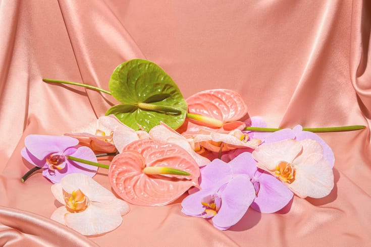 A Full Guide To Vagina Piercings: Risks, Benefits, Photos & More