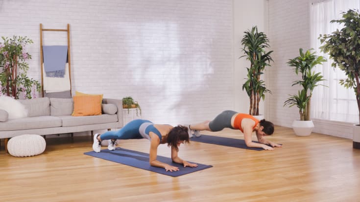 Planks Hip Dips: How To Do It, Tips, Modifications & More