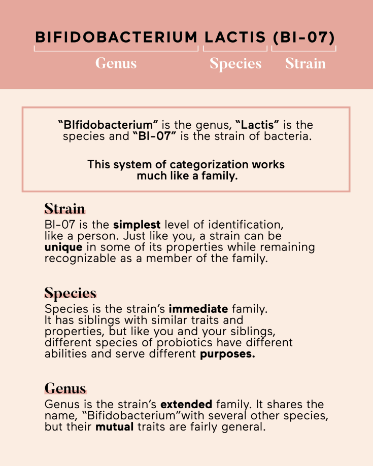 10 Common Types Of Probiotics, Plus What They Do