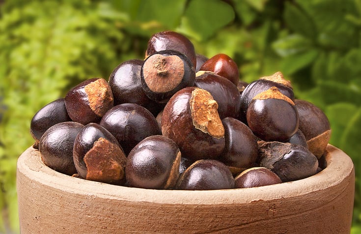 7 Benefits Of Guarana, The Berry Behind Our Focus Supplement