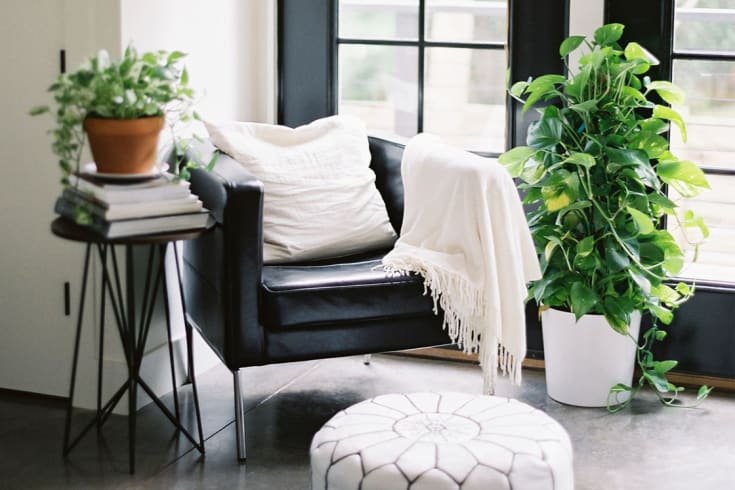 10 Easy Ways To Cleanse Your Home of Negative Energy 10 Easy Ways To Cleanse Your Home of Negative Energy