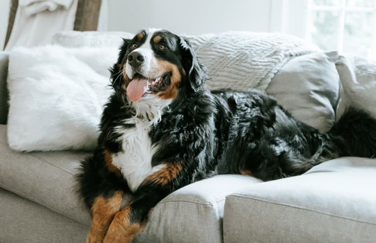 9 Cuddling Positions For Any Relationship & What They Mean