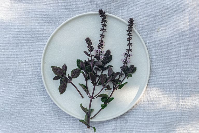 How To Connect To Your Local Nature, This Winter & Beyond